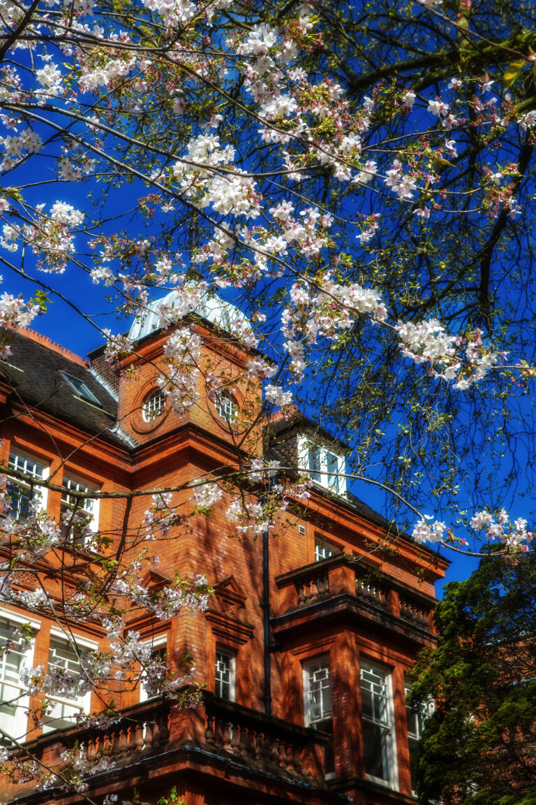 Private Girls' School in Hampstead, North London | Catholic School in ...